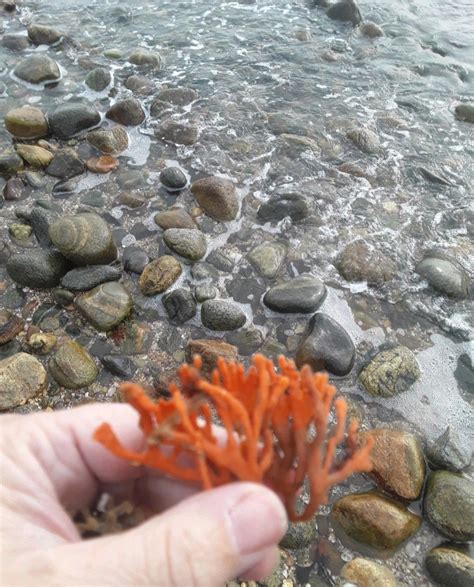 Dataanalytics Learning Data Sql Sheila Chairvolotti