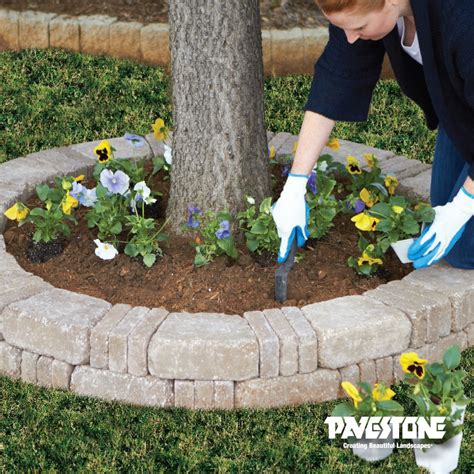 Shop Pavestone Tree Ring 53 W X 11 H Medium At Lowes Com