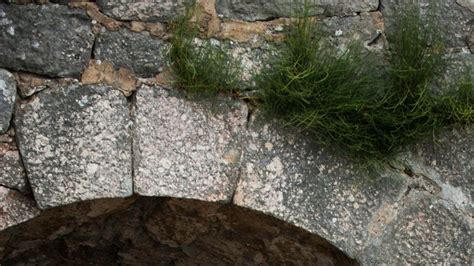 Pogledajte Kako Se Kninska Kraljiica Mijenjala Tijekom Svoje Turbulentne Političke Karijere