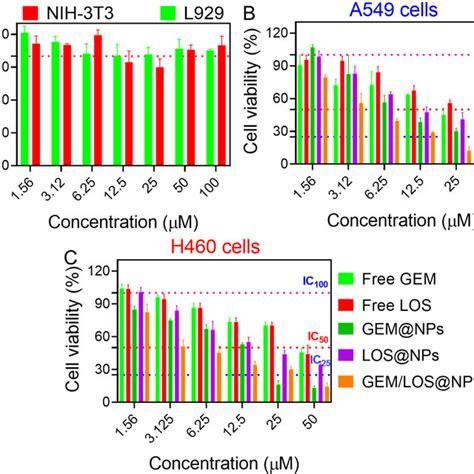 Cell Viability And Cell Cytotoxicity Measured By Mtt Assay A Cell