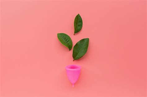 분홍색 배경에 생리컵 대체 여성 위생 제품 기간 동안 여성 건강 개념입니다 공간을 복사합니다 환경 친화적 인 개념 제로 폐기물 제품 플랫 레이 모형 템플릿 0명에 대한 스톡