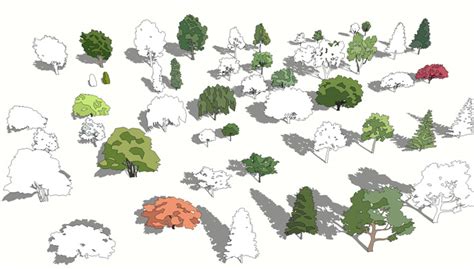Sketchup 6 Trees Bffod
