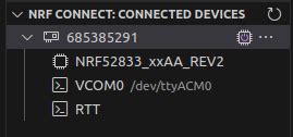 Exercise Advanced Debugging In NRF Connect For VS Code Nordic Developer Academy
