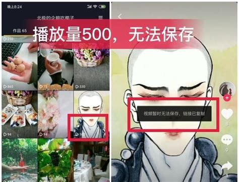 《抖音新人上热门的绝招》（学会这些技巧） 8848seo