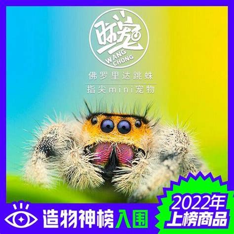 卢卡斯蜘蛛有毒吗