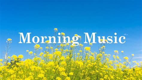 🥝good Morning긍정적인 하루를 위한 산뜻한 아침 음악 Youtube Music