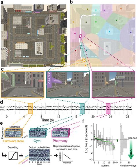 A Learned Map For Places And Concepts In The Human Medial Temporal Lobe Journal Of Neuroscience