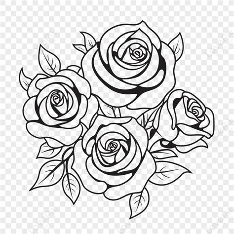 장미는 흰색 배경 윤곽선 스케치 드로잉에 흑백으로 표시됩니다 벡터두꺼운 선선 그리기 Png 일러스트 무료 다운로드 Lovepik