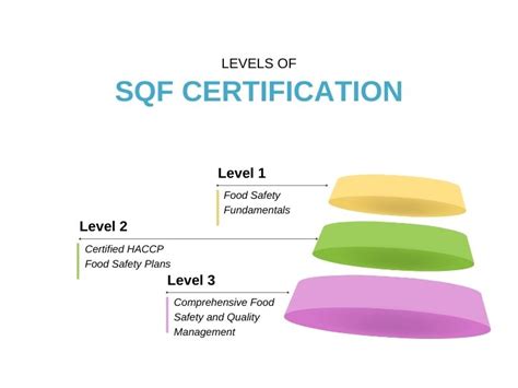 Everything You Need To Know About Sqf