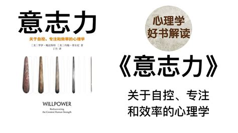 意志力 深入浅出解读 自控专注和效率的心理学 为什么培养意志力这么难哪些因素会影响我们的意志力如何提高意志力 YouTube