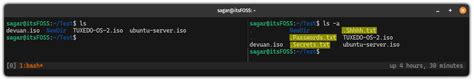 Using Ls Command In Linux
