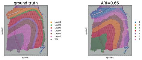 DLPFC Dataset DeepGFT V Documentation