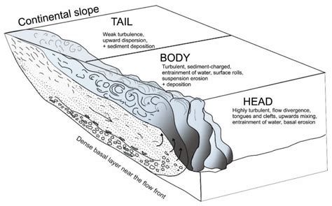 Turbidity Current Level At Brandi Hayes Blog