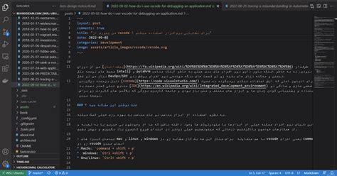من چجوری از Vscode برای خطایابی نرم‌افزار استفاده میکنم