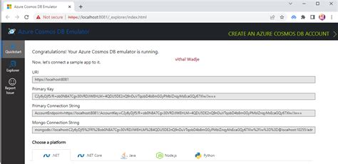 How To Use Azure Cosmos Db Locally For Development