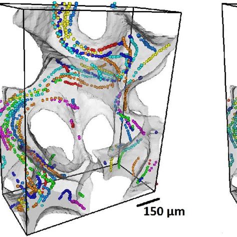 Experimentally Measured Trajectories Of Tracer Particles In The Sand