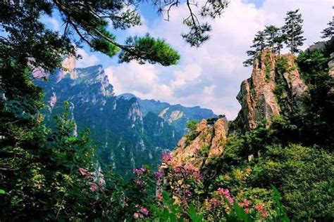 老界岭在什么地方 旅泊网