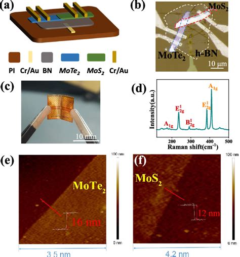 Figure 3 From Flexible Gas Sensor Based On Molybdenum Telluride