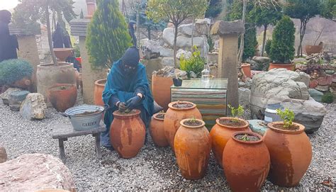 დეკანოზი ილია ჭიღლაძე Added A New დეკანოზი ილია ჭიღლაძე