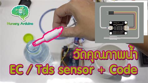 ep 21 เซ็นเซอร์วัดคุณภาพน้ำ analog tds sensor nursery arduino youtube