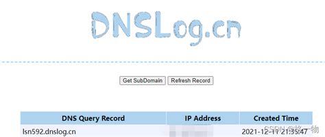 Apache Log4j2 Jndi Rce漏洞攻击保姆级教程（仅供测试请勿攻击他人）apcjnd Csdn博客
