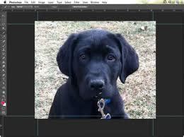 Creating Crop And Bleed Marks In Photoshop Digital Firefly Marketing