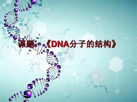高中生物人教新课标版必修2第3章 基因的本质第2节 Dna分子的结构说课课件24张 21世纪教育网