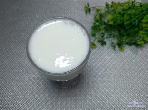 요거트 파우더로 요거트 스무디 만들기 아이스크림