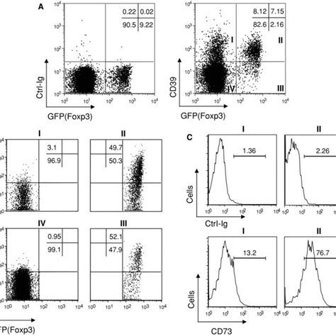 Cd39 Is Expressed On Cd4 Foxp3− Cells That Exhibit Memory Phenotype Download Scientific