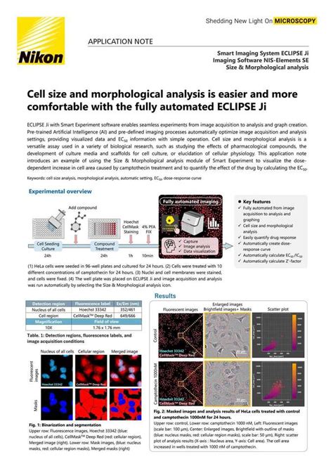 Cell Size And Morphological Analysis Is Easier And More Comfortable With The Fully Automated