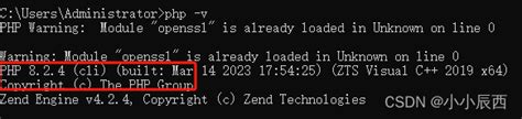 php8 2 4安装composer教程（多种方法之一） php8 composer csdn博客