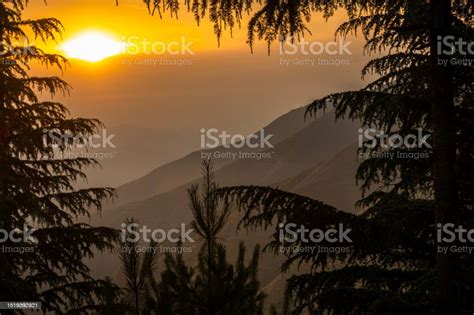히말라야의 골든 아워 태양이 가라앉고 주황색 하늘을 드리웁니다 겹겹이 쌓인 산등성이 소나무 실루엣이 우타라칸드의 아름다운 경치를