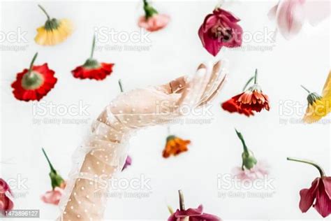 투명한 장갑을 낀 여자의 손이 밝은 봄 스튜디오에서 떠 다니는 꽃을 만집니다 아름다움과 패션 3월에 대한 스톡 사진 및 기타 이미지 Istock