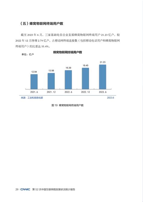 Cnnic：第52次中国互联网络发展状况统计报告 互联网数据资讯网 199it 中文互联网数据研究资讯中心 199it
