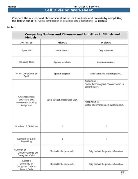 8 Cell Division Lab Worksheet F21 Compare The Nuclear And Chromosomal Activities In Mitosis