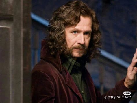 哈利波特 小天狼星 堆糖，美图壁纸兴趣社区