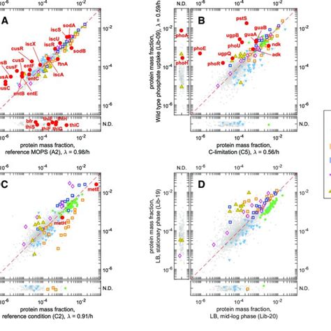 Comparison Of Proteome Profiles Across Growth Conditions Scatter Plots