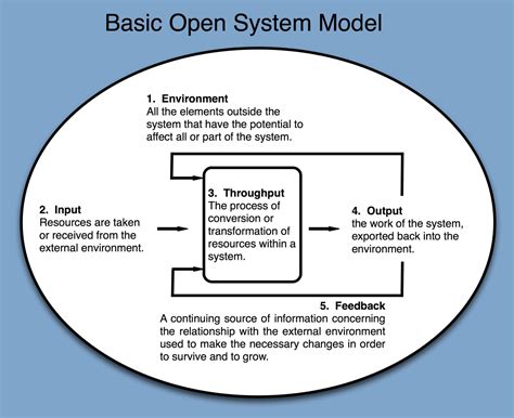 Basic Open System Model Right To Joy