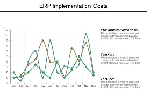 Erp Implementation Costs Ppt Powerpoint Presentation Summary Cpb