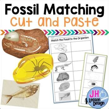 Fossil Matching Cut And Paste Activity By JH Lesson Design TPT