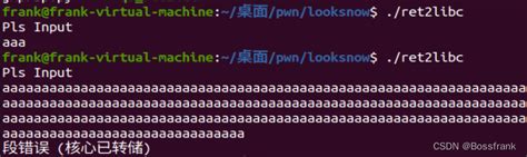 Pwn入门:基本栈溢出之ret2libc详解(以32位64位程序为例) Csdn博客 Pwn入门:基本栈溢出之ret2libc详解(以32位64位程序为例) Csdn博客