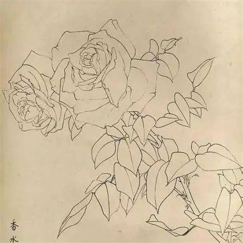 49幅花卉白描画图谱难得一见的好资料 优惠价 禽鸟 走兽