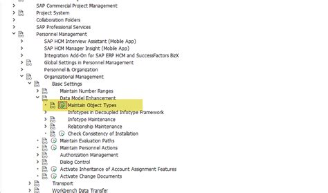 Creating Custom Transactions For Managing Sap Om Objects