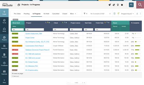 Netsuite Applications Suite Projects — Introduction