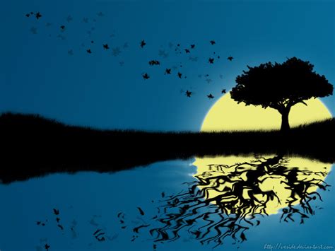 Tree Reflection By Vxside On DeviantArt