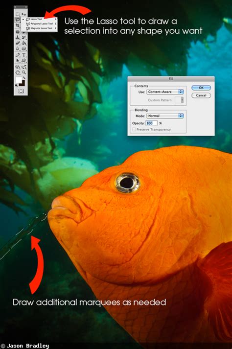 Content Aware Fill In Photoshop CS
