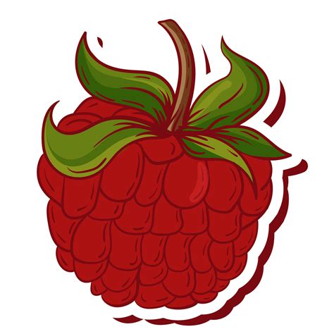 Fresh Single Raspberry Fruit Vector Illustration 27005820 Vector Art At Vecteezy
