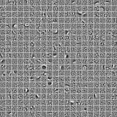 Nuclei Segmentation Via Sparsity Constrained Convolutional Regression Pmc
