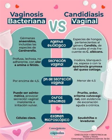 Vaginosis Bacteriana Vs Candidiasis Vaginal Yudocorg Udocz