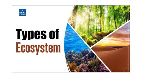 Types Of Ecosystem Terrestrial And Aquatic Ecosystem
